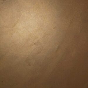 Home Stucco Veneziano • Stucco Veneziano